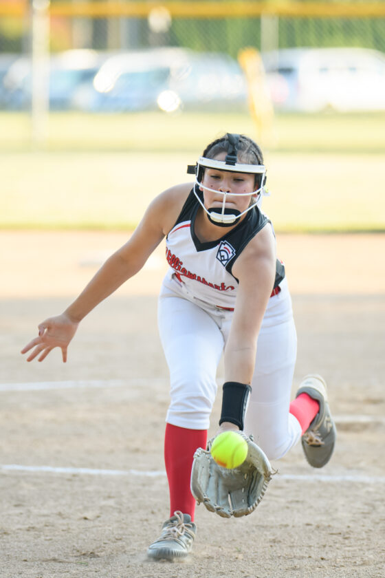 Montoya, Fletcher help Williamsport Area 9-11 softball win district ...